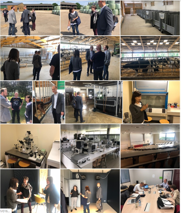 Visit University of Tours, France – Center for International Affairs